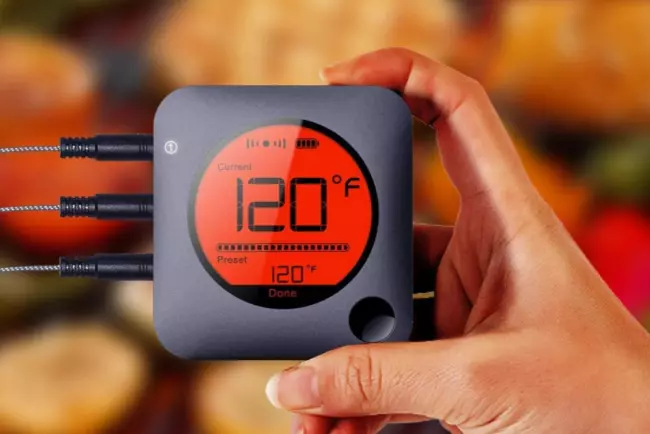 The Best Wireless Daging Thermometer