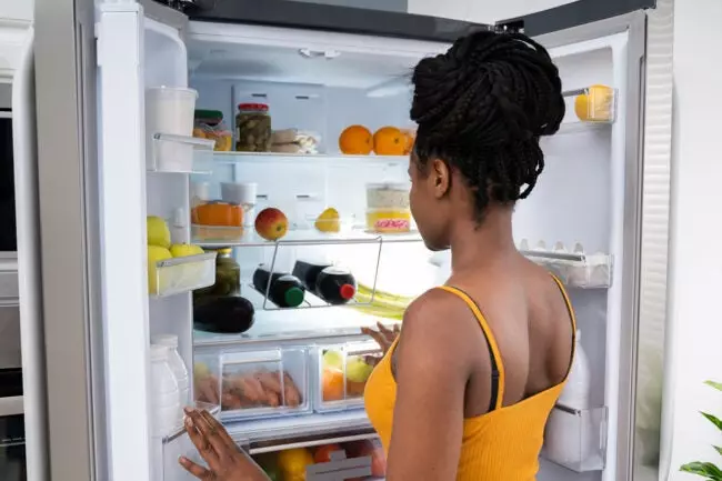 Le migliori opzioni di frigorifero